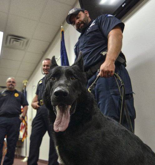 Officer Lance Sanders - Live PD