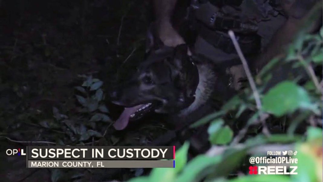 Marion County Sheriff’s Office - Live PD