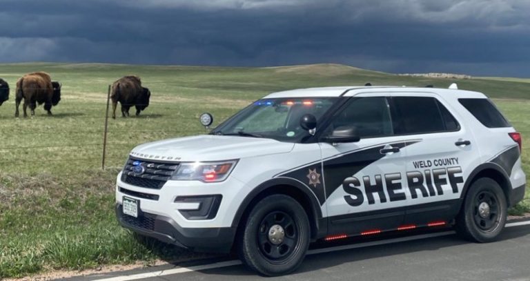 Weld County Sheriff’s Office - Live PD