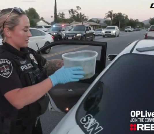 On Patrol Live: Season 2 Archives - Live PD